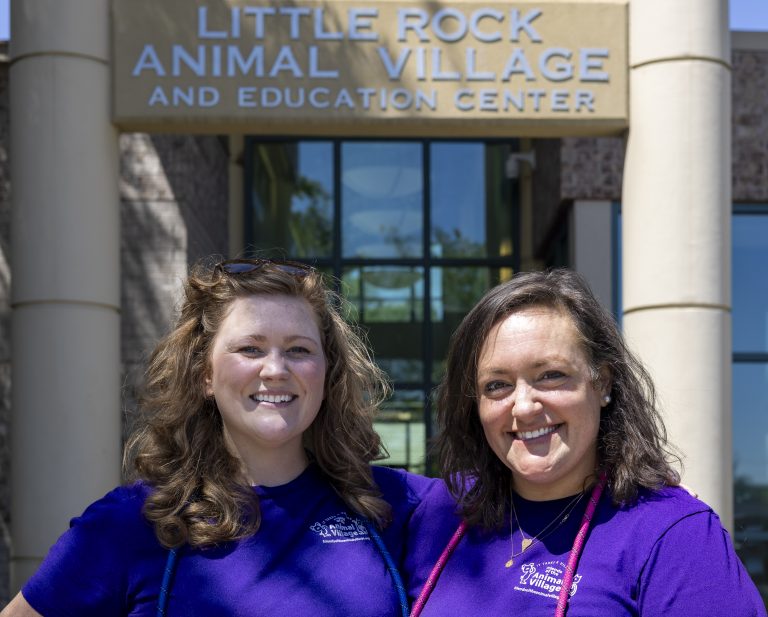 Little Rock Animal Village: Saving Lives, One Pet at a Time – Arkansas ...